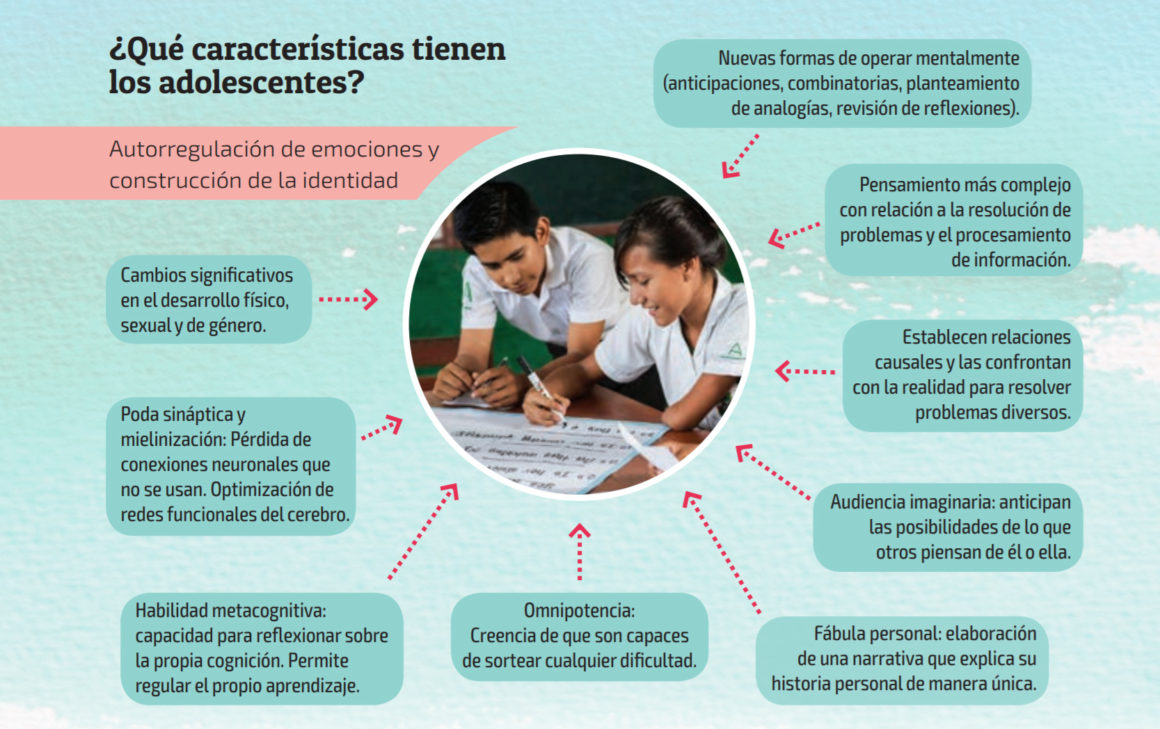 Planificación, mediación y evaluación de los aprendizajes - 2025