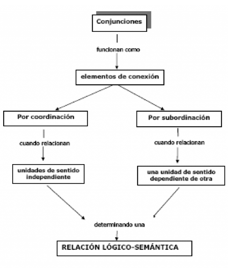 Guía y tipos de conectores