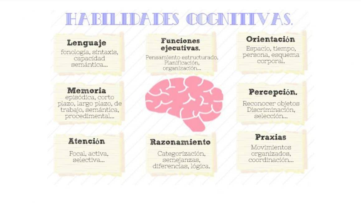 Cómo potenciar las funciones cognitivas - 2026