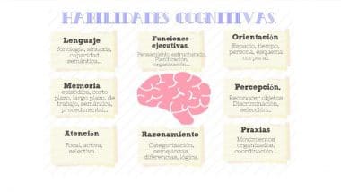 Cómo potenciar las funciones cognitivas