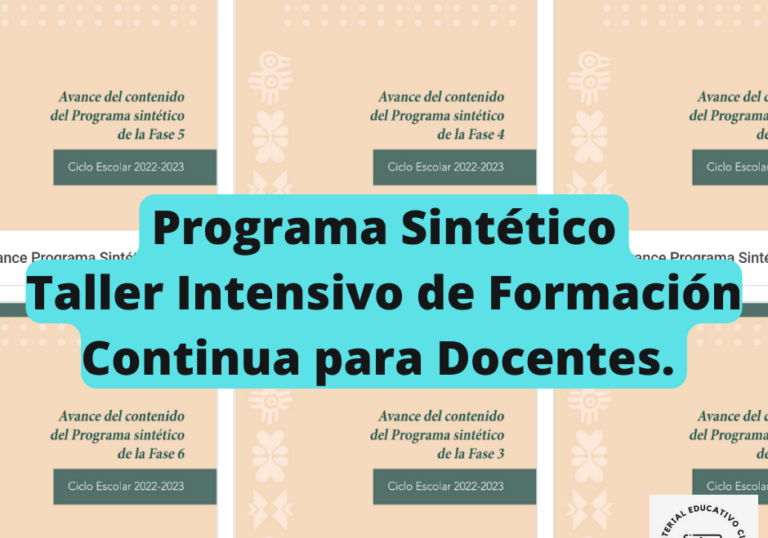 Programas sintéticos del Plan de estudios: Nueva versión - 2025