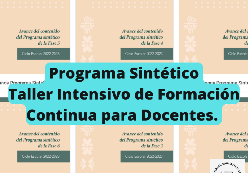 Programas sintéticos del Plan de estudios: Nueva versión - 2025